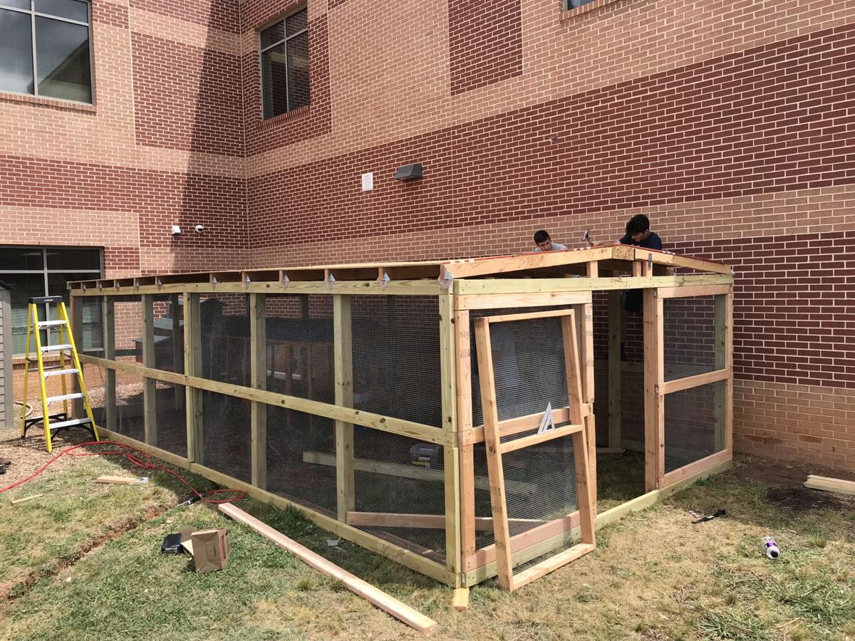 PHOTOS: Lovin Elementary School Chicken Coop Project | Multimedia ...