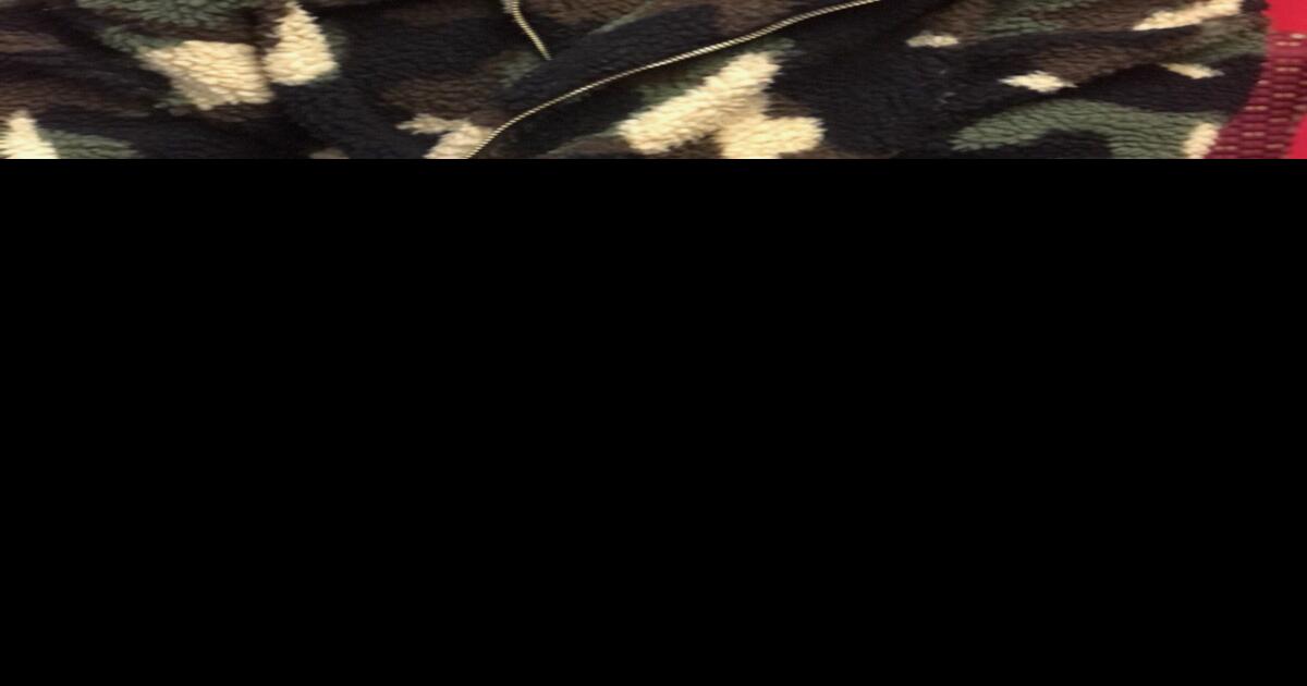 Devyn Lambert, Archer | | gwinnettdailypost.com