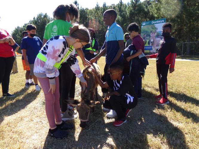 USDA takes farm animals to Lovin Elementary School in effort to bring ...