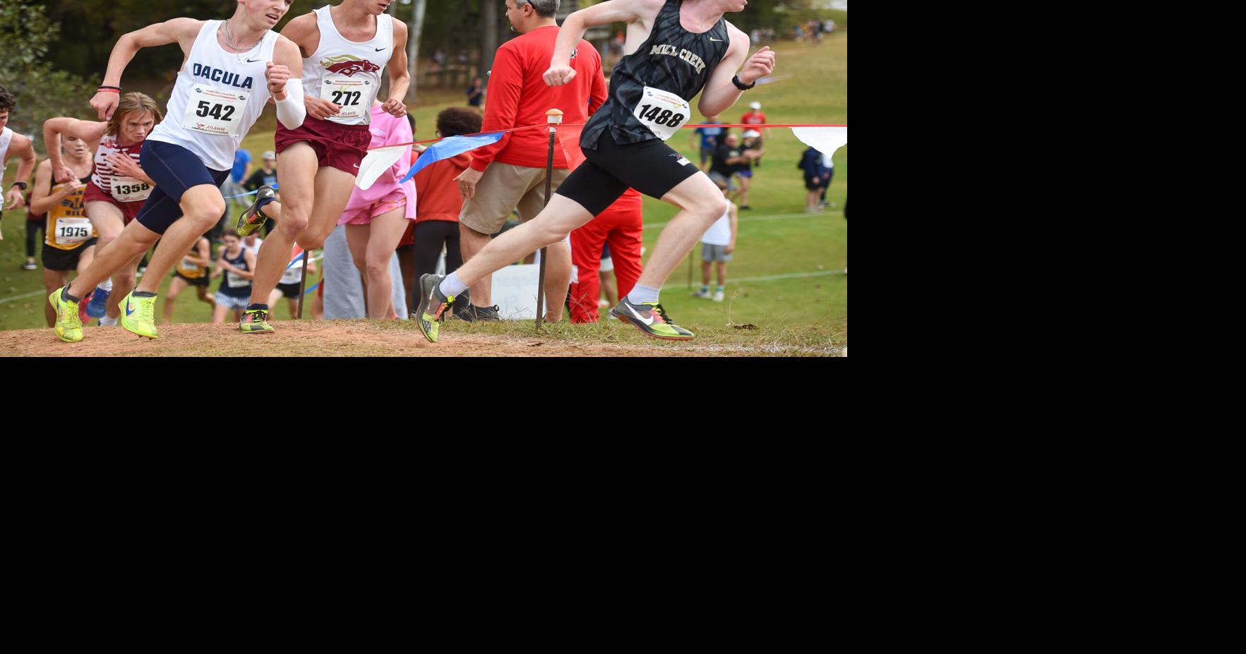Gwinnett Cross Country Runners Earn All-Region Accolades | Prep ...