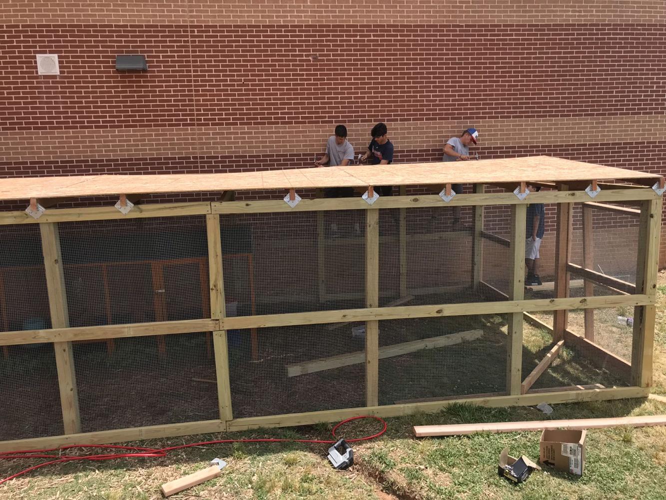 PHOTOS: Lovin Elementary School Chicken Coop Project | Multimedia ...