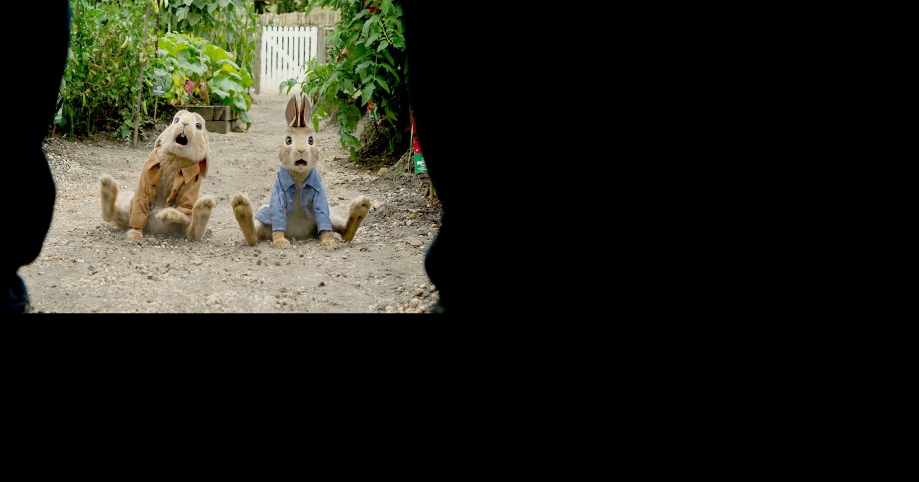 MOVIE REVIEW: Predictably cute “Peter Rabbit” bears surprising wit ...