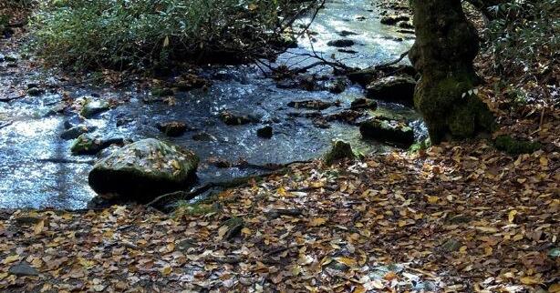 MARLOWE: The importance of the Upper Ocmulgee River Basin | News ...