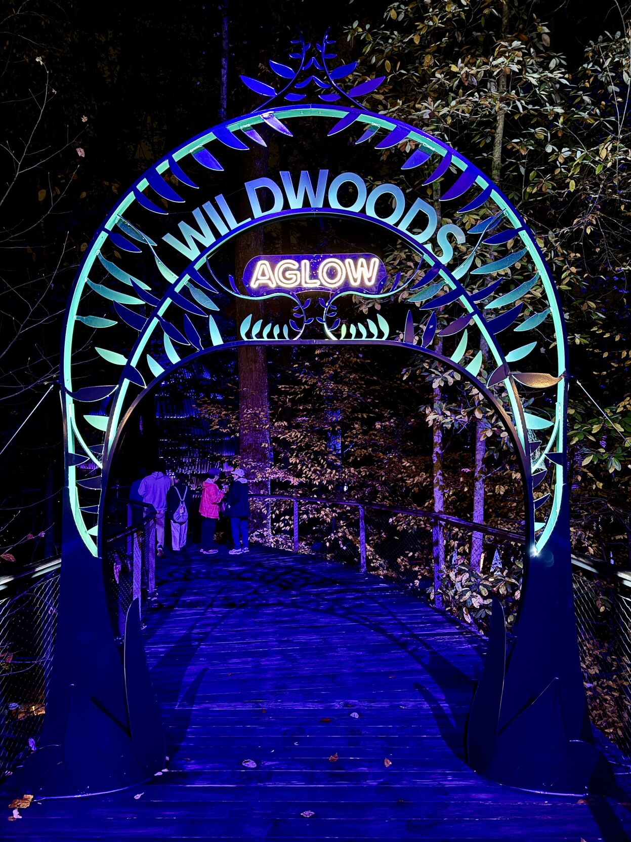 PHOTOS: ‘WildWoods: AGLOW’ returns for second year at Fernbank Museum ...