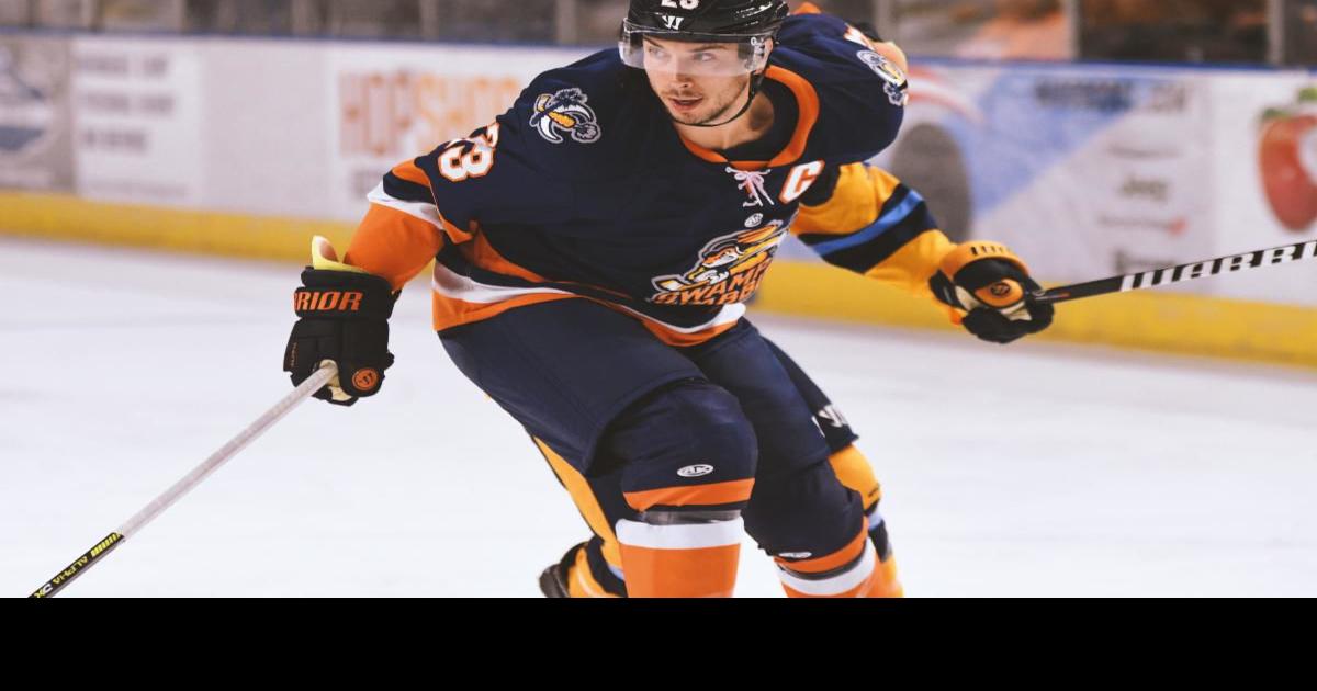 Atlanta Gladiators land veteran forward Michael Pelech, active leader ...