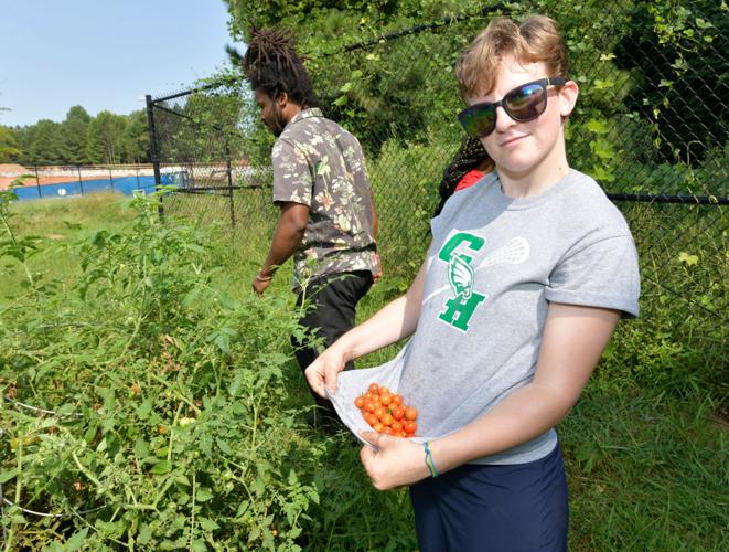 PHOTOS: Georgia Gwinnett College students volunteer at service day ...