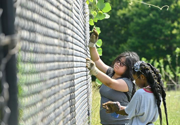 PHOTOS: Georgia Gwinnett College students volunteer at service day ...