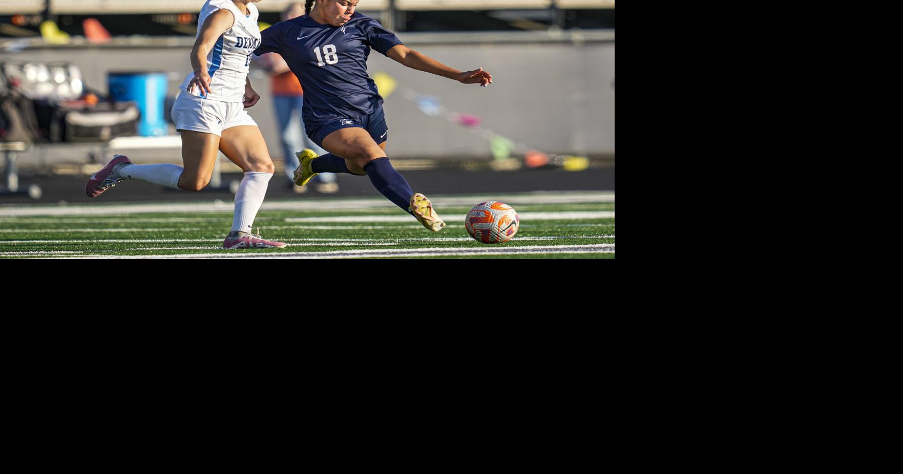 Berkmar's Adrian Lopez, Norcross' Gianna Vescovo lead All-Region 7 ...