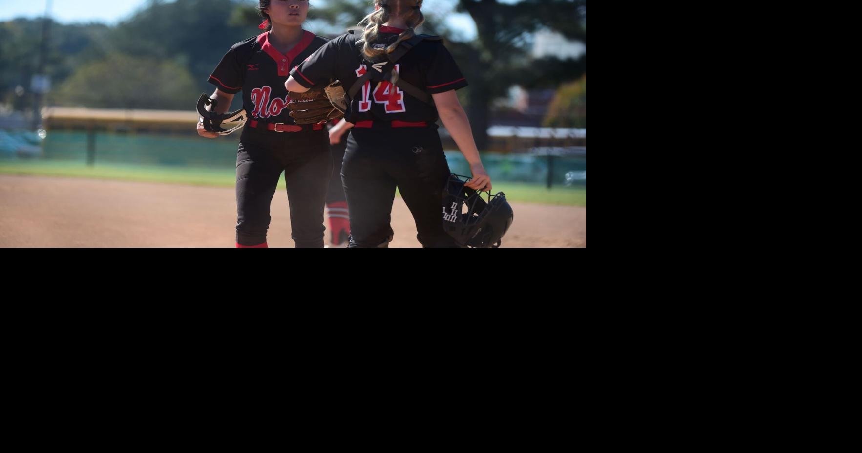 PHOTOS: North Gwinnett vs. Hillgrove Softball, Class AAAAAAA State ...