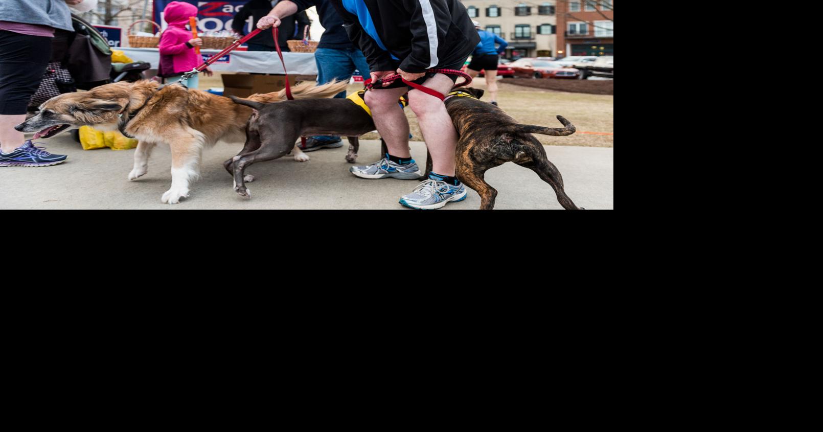 Georgia SPCA's Run for the Rescues | | gwinnettdailypost.com