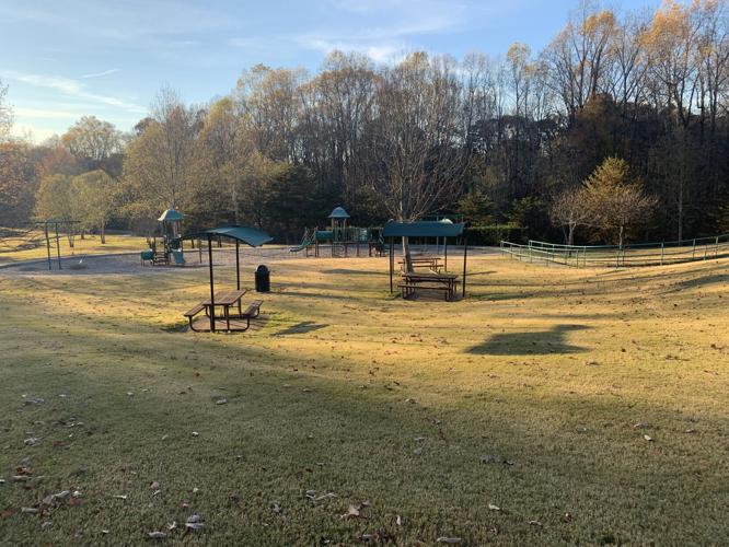 Gwinnett's Rowen project is making Dacula a target for developers ...