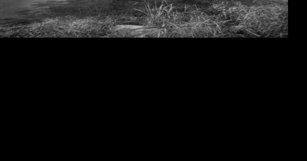 PROGRESS: The growth of law enforcement in Gwinnett County from 1 to ...