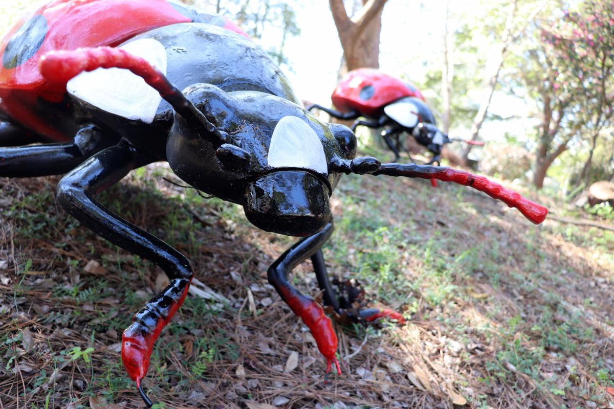 Giant bug exhibit coming to Stone Mountain Park this spring ...
