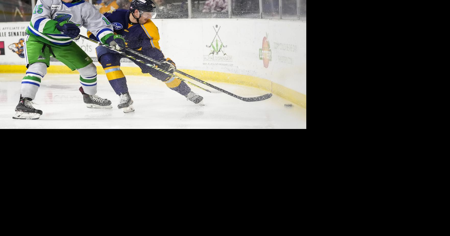 Gladiators' Tim Davison named to ECHL All-Star Team | Sports ...