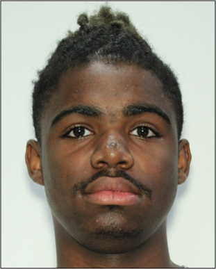 Police ID two teenage boys who stole cars, credit cards from Gwinnett ...