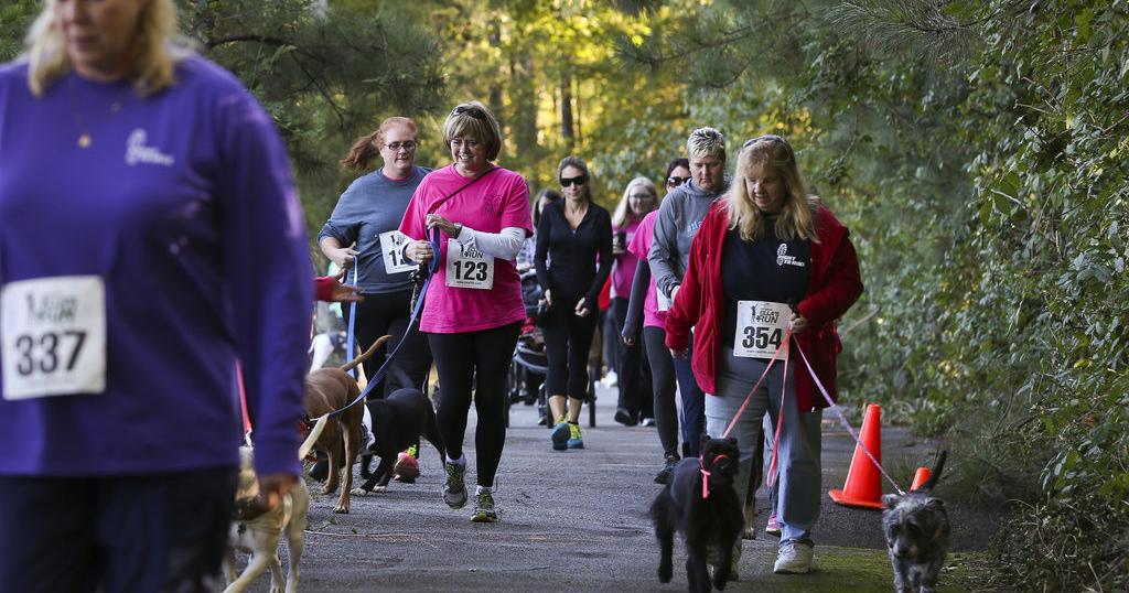 Hundreds honor the memory of Meredith Emerson at Ella’s Run | News ...