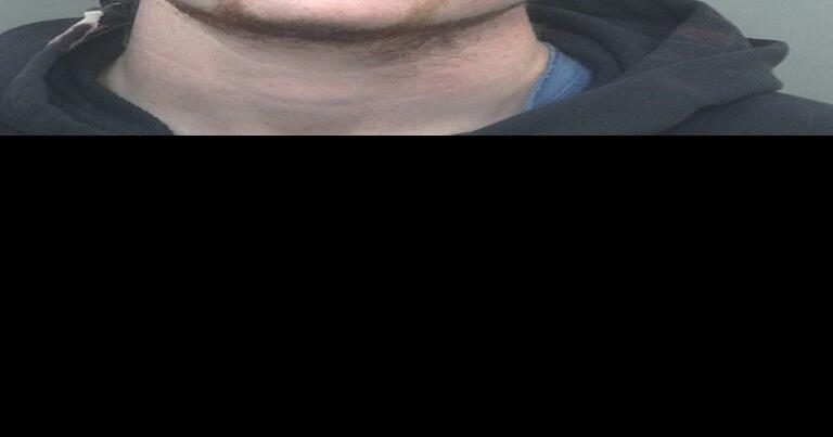 TYLER MICHAEL PRITCHETT | | gwinnettdailypost.com