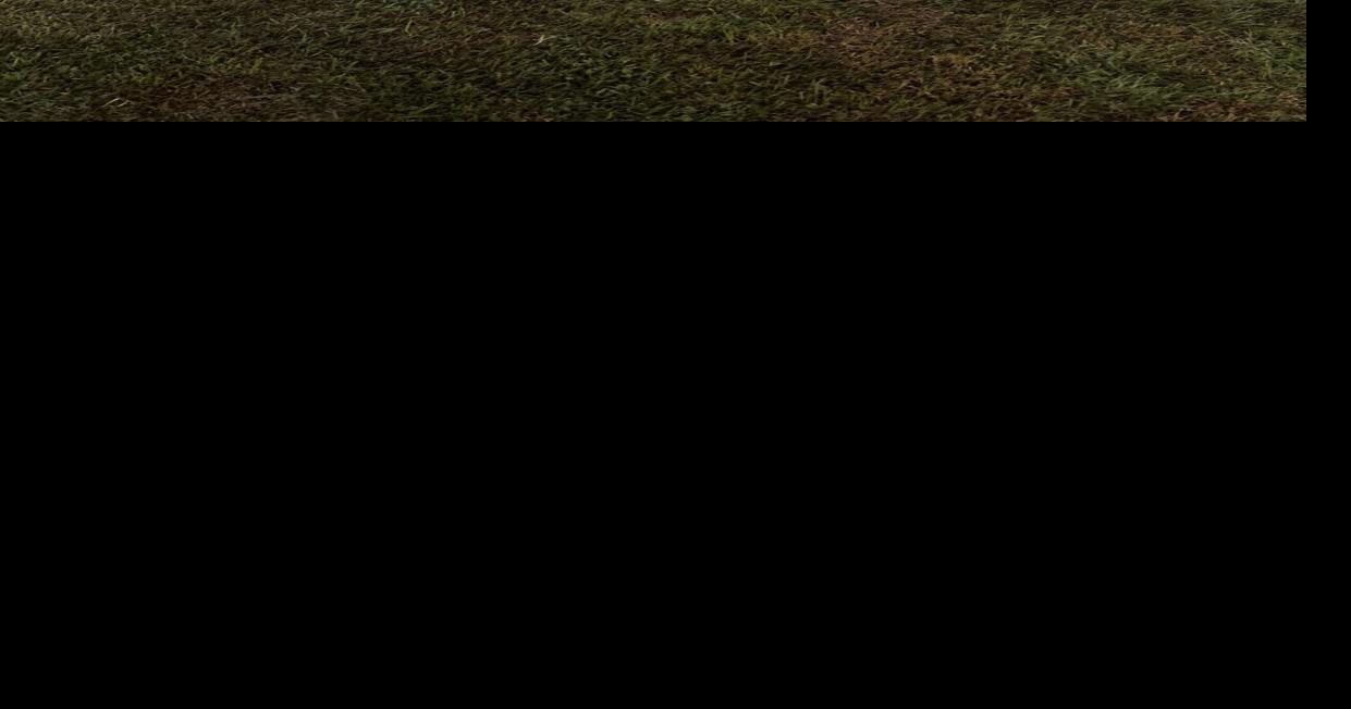 Mill Creek’s Aaron Littleton, North Gwinnett’s Keira Gunn Earn Gwinnett ...