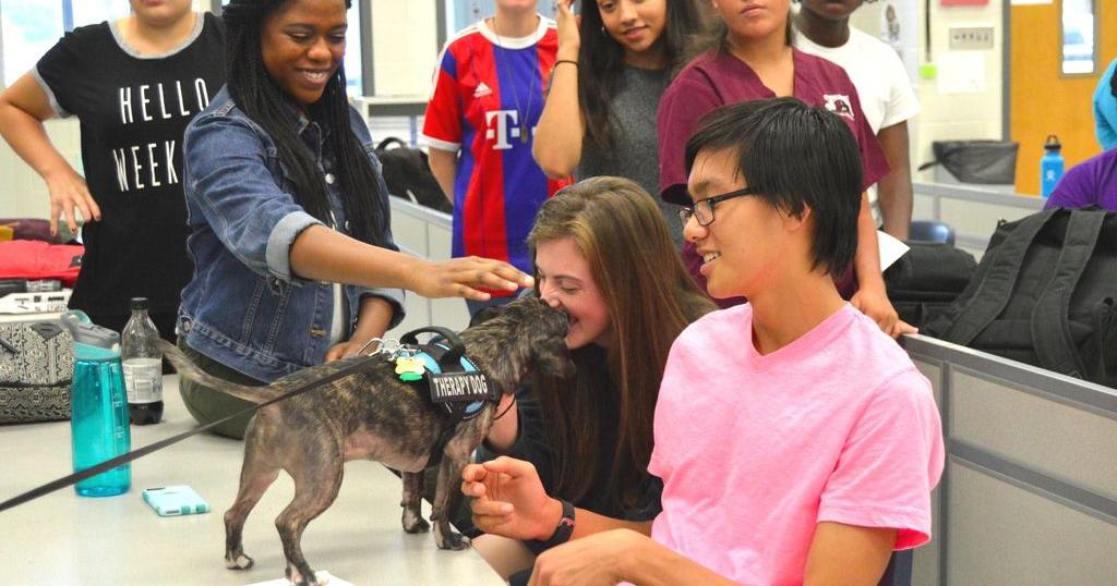 Therapy dogs visit Grayson Tech students | News | gwinnettdailypost.com