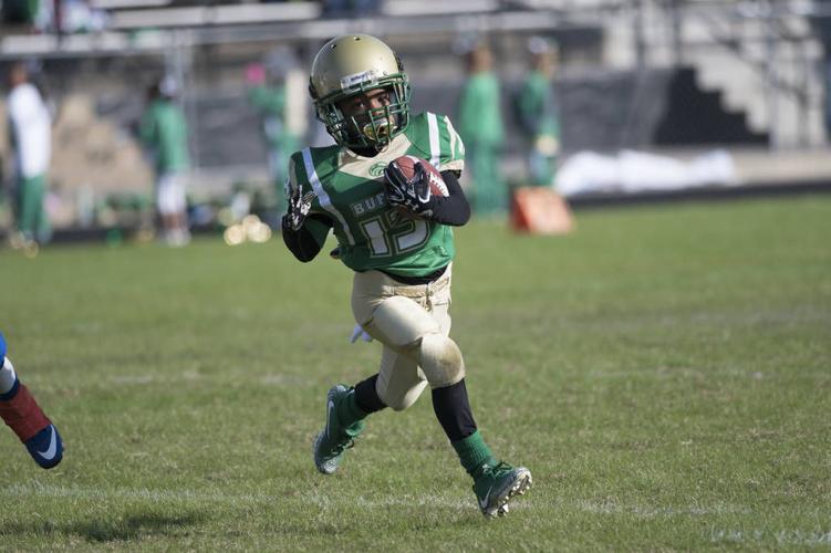 Gwinnett Football League crowns its 2017 champions | Prep ...