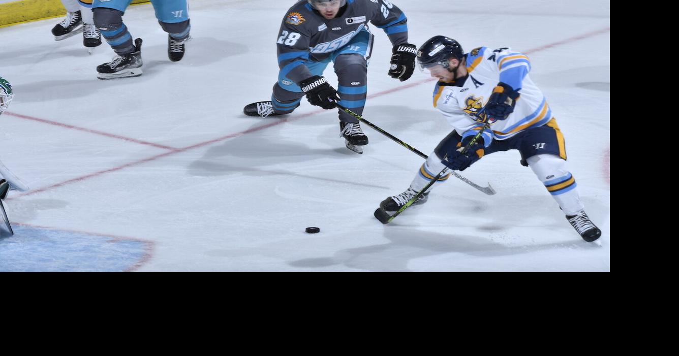 Atlanta Gladiators post road win over Orlando Solar Bears | Sports ...