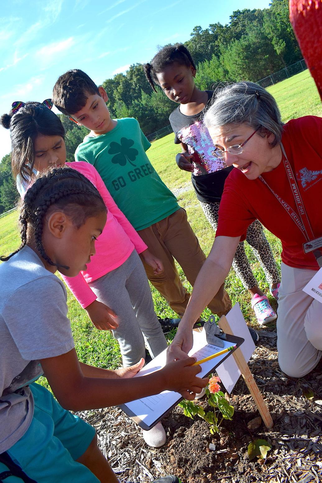 PHOTOS: Bee counting at Lovin Elementary School | Multimedia ...