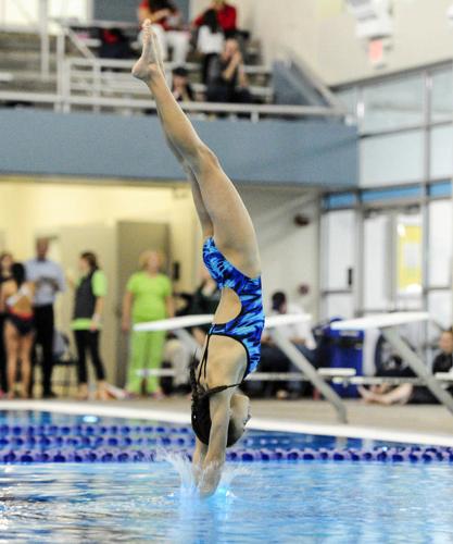 Gwinnett County Girls Diving Championships | Multimedia ...