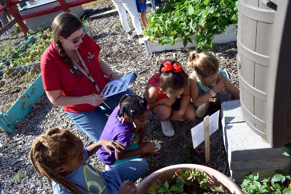 PHOTOS: Bee counting at Lovin Elementary School | Multimedia ...