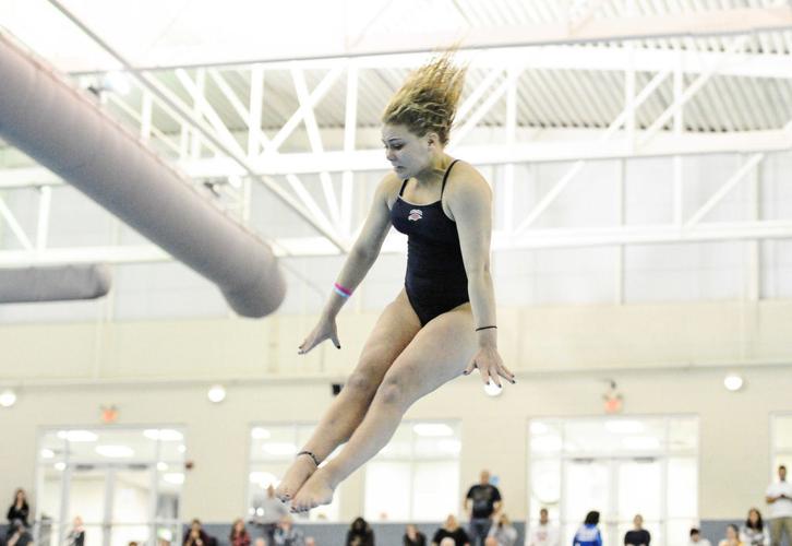 Gwinnett County Girls Diving Championships | Multimedia ...