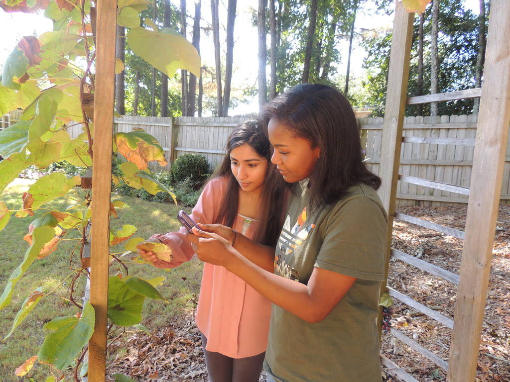 Peachtree Ridge Students Design App To Diagnose Plant Diseases Home Peachtree Ridge Students Design App To Diagnose Plant Diseases Home