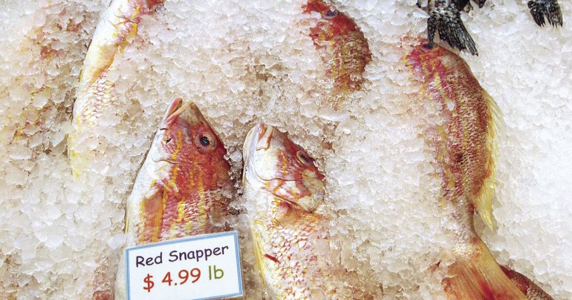 How to choose a fresh, whole fish | Gwinnett Daily Post Food and ...