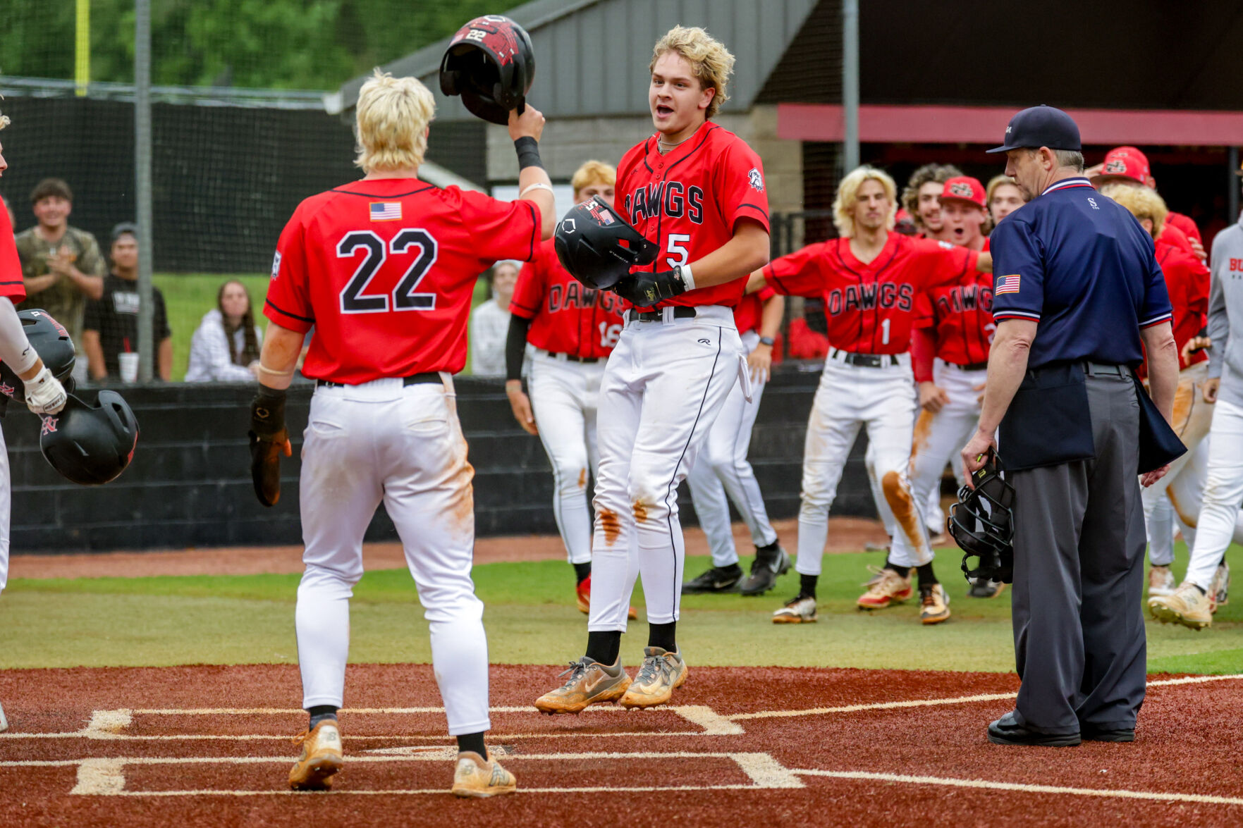 Heroics-Filled Win Gives North Gwinnett Baseball Split with North ...