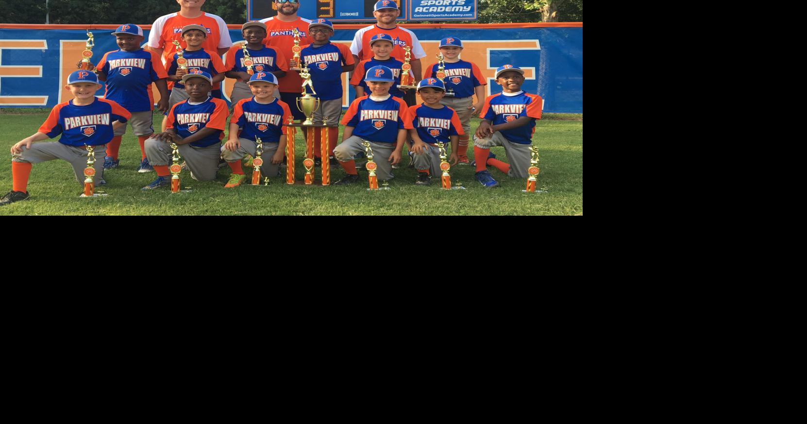 MPAA 8U All-Star baseball team completes undefeated summer with state ...