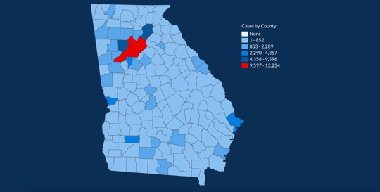 Georgia Public Health Commissioner: Gwinnett has some of state's ...