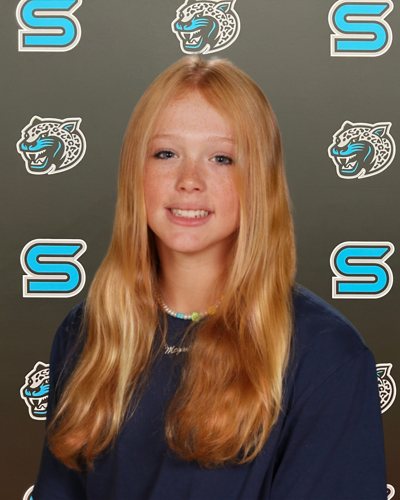 Megan Whitt's walk-off home run, seven RBIs power Seckinger win | Prep ...