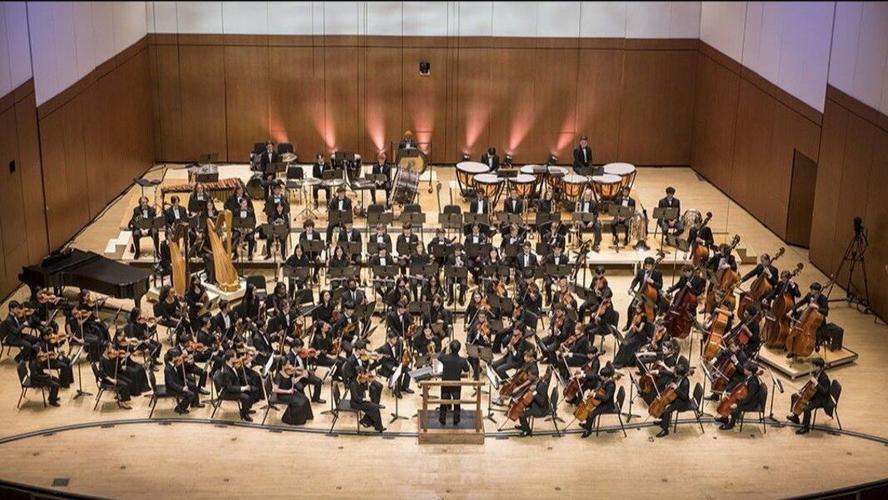 Gwinnett County student wins Atlanta Symphony Youth Orchestra concerto ...