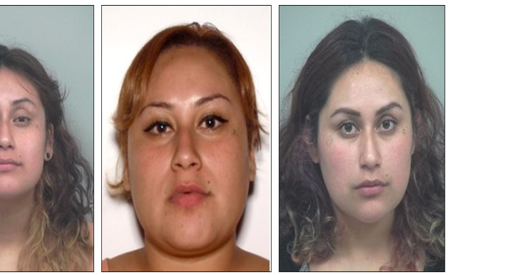 Gwinnett police renew calls for information on Hispanic woman missing ...