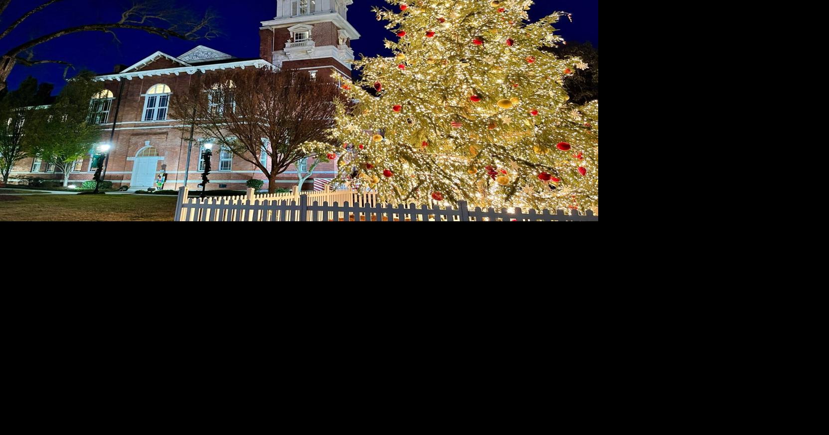 PHOTOS: Scenes from the 34th Annual Lighting of the Tree in ...