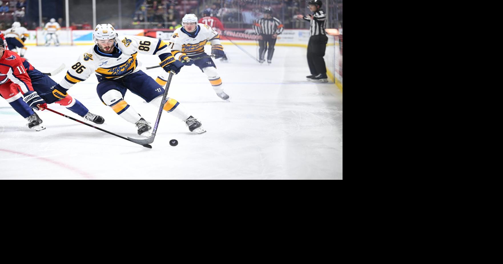 Atlanta Gladiators fall at South Carolina in OT | Sports ...