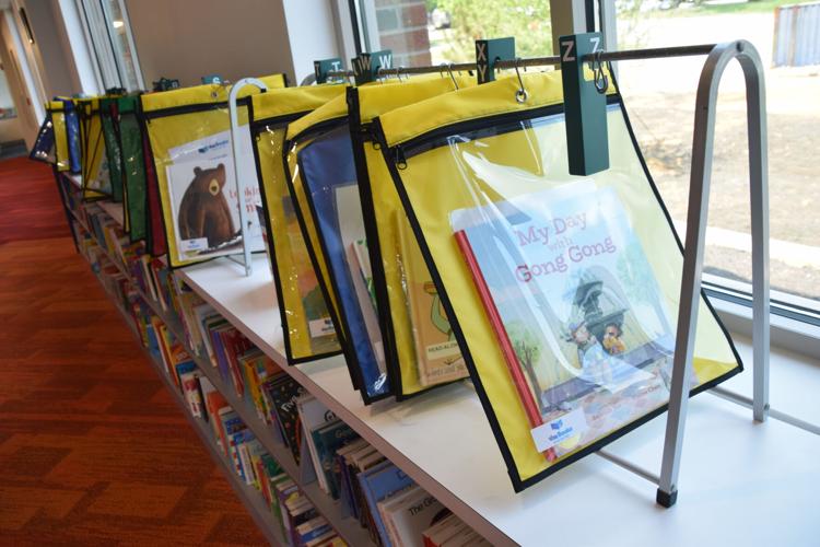 Duluth's new downtown library branch is a key to future developments ...