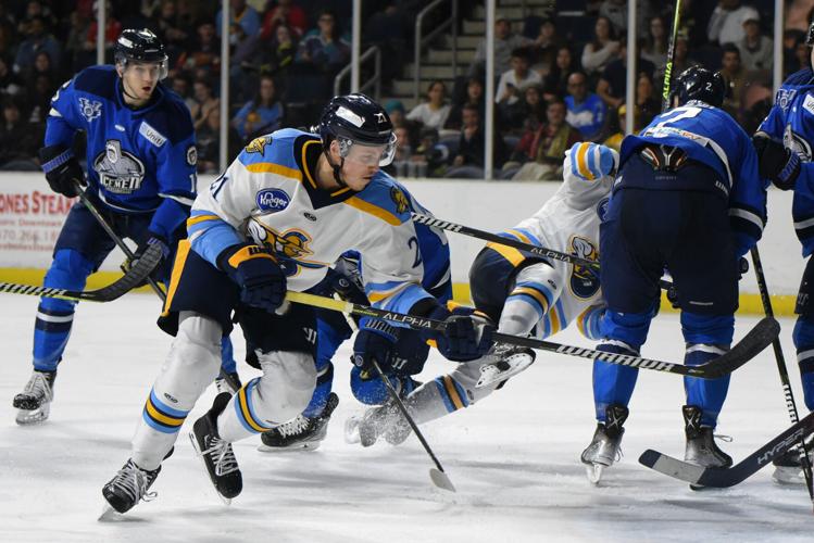 Atlanta Gladiators sign former Colgate captain Paul McAvoy | Sports ...