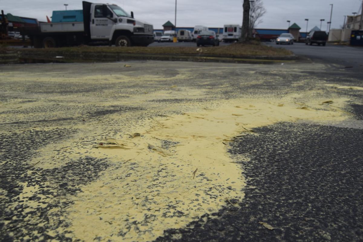 Pesky pollen ails allergy sufferers | News | gwinnettdailypost.com