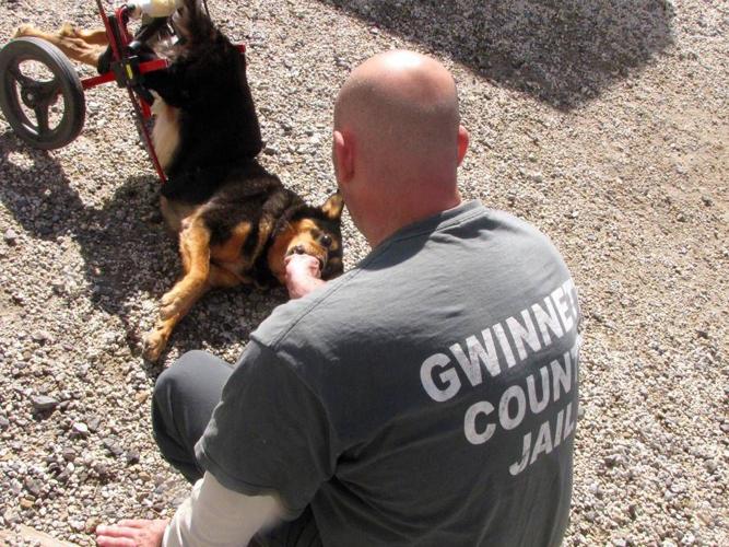 Jail Dog ‘mascot’ returns to Gwinnett County jail | News ...