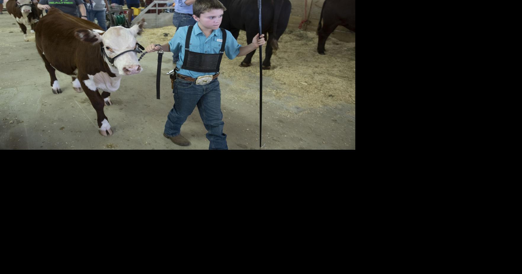 PHOTOS: Scenes from the Gwinnett County Fair | Multimedia ...