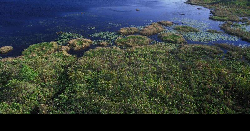 State opens public comment period on proposed mine near Okefenokee ...