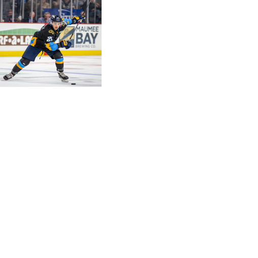 Two-way forward Brandon Schultz signs with Atlanta Gladiators | Sports ...