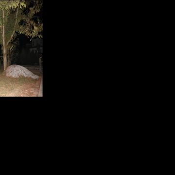 Gwinnett police looking for individuals who may be involved in Buford ...