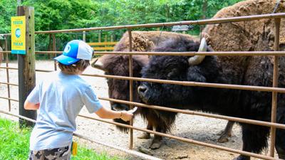 AROUND TOWN: Owner Says 'Three Very Large' Projects On Horizon At ...