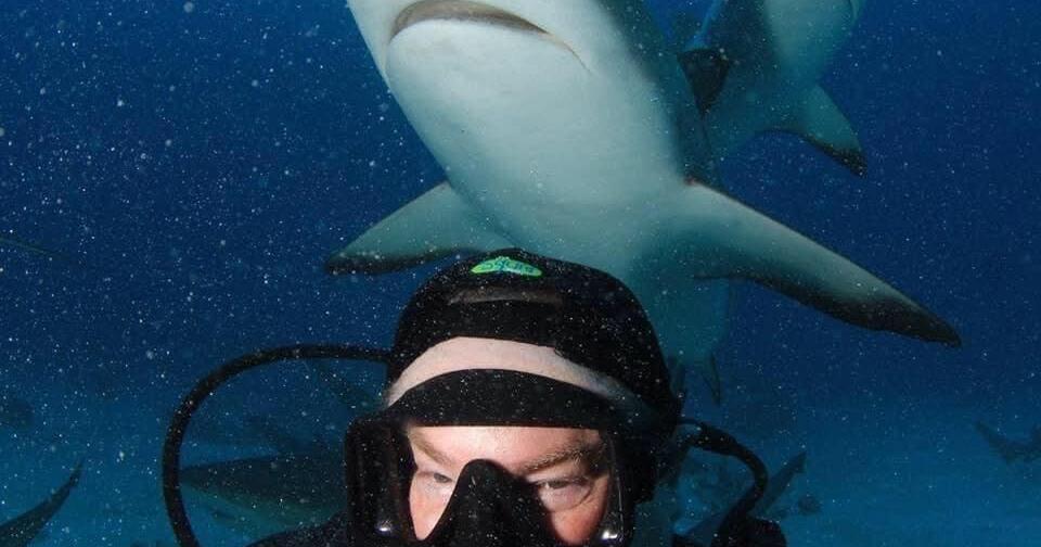 ART BEAT: Photographer Terry Chapman goes to great depths for the ...