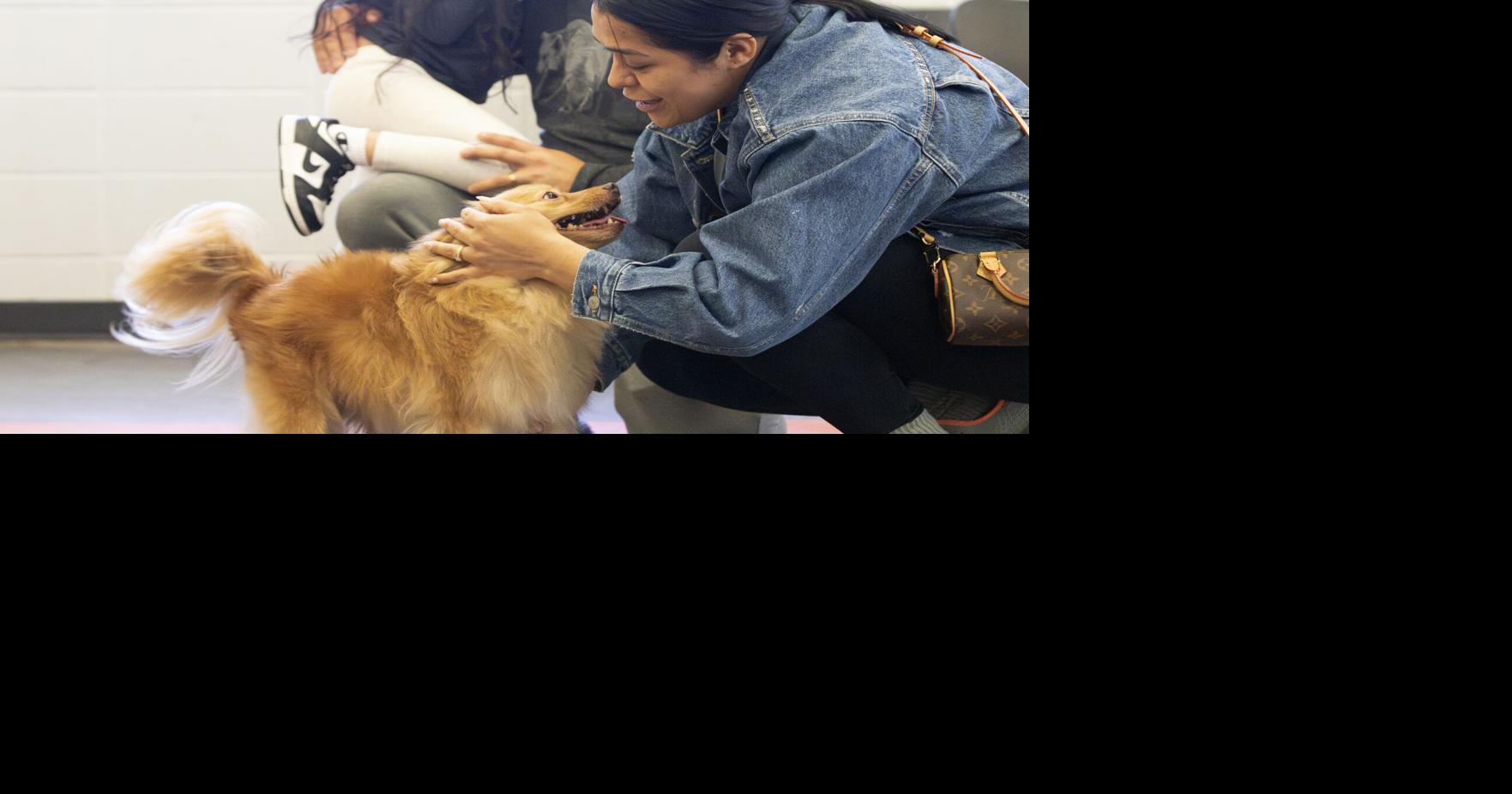 PHOTOS: Family reunited with long lost dog after nearly three years ...